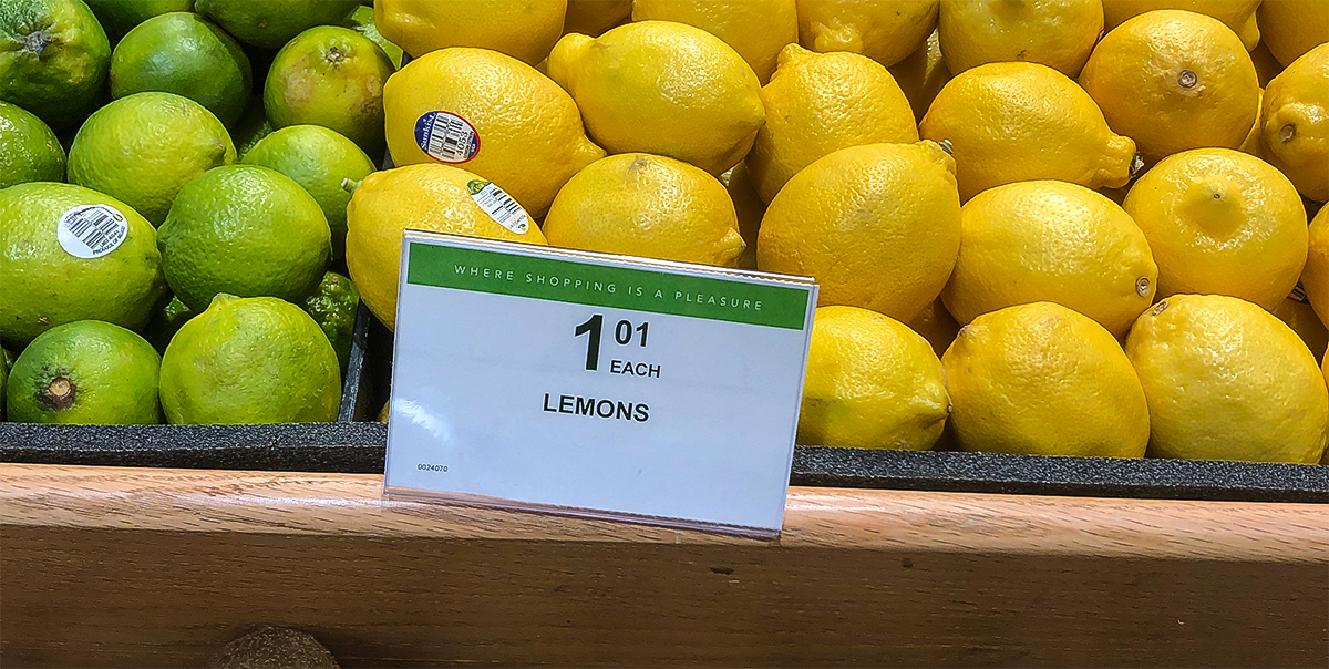The Deeper Psychological Meaning of $1.01 Lemons - Alan LeStourgeon